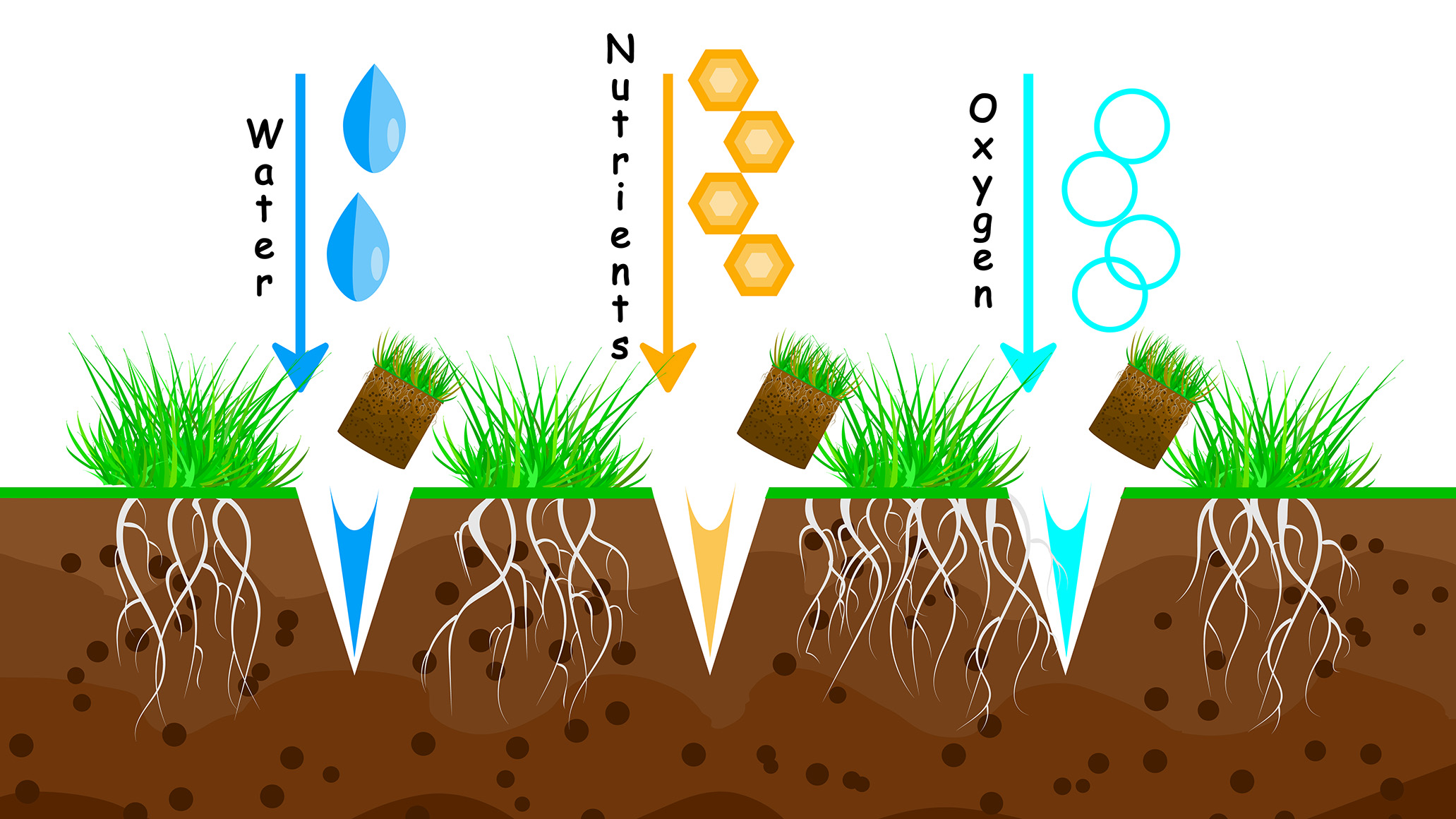 Core Aeration #1 Affordable | Top Turf